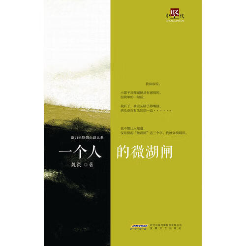 一个人的微湖闸【好书】