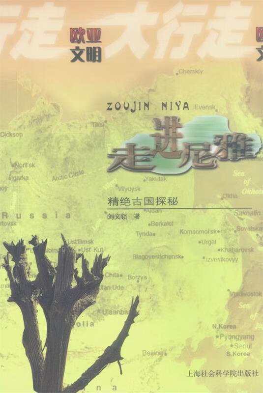 走进尼雅:精绝古国探秘 刘文锁 著