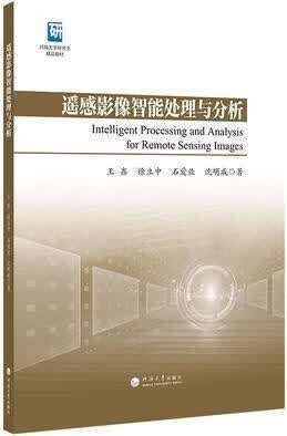 遥感影像智能处理与分析 王鑫等著 河海大学出版社