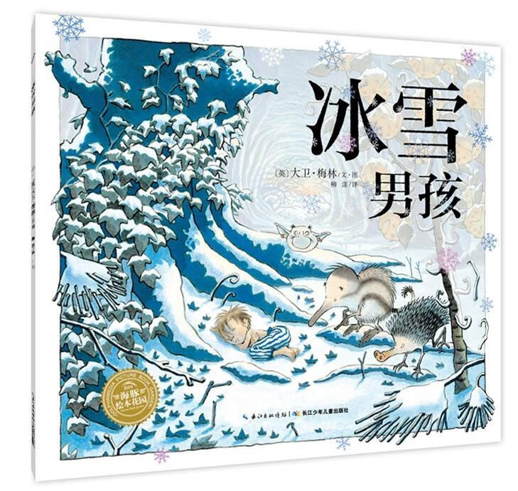 冰雪男孩 海豚绘本花园平装软皮封面 大卫·梅林 长江少年儿童出版社
