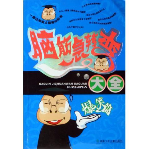 3G无线网络和无线局域网的设计与性能