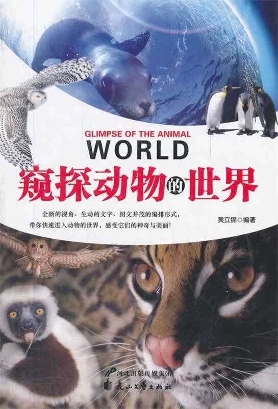 窥探动物的世界