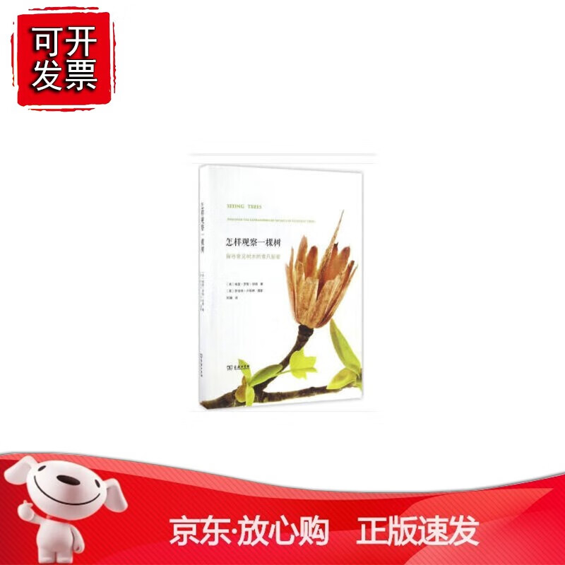 怎样观察一棵树