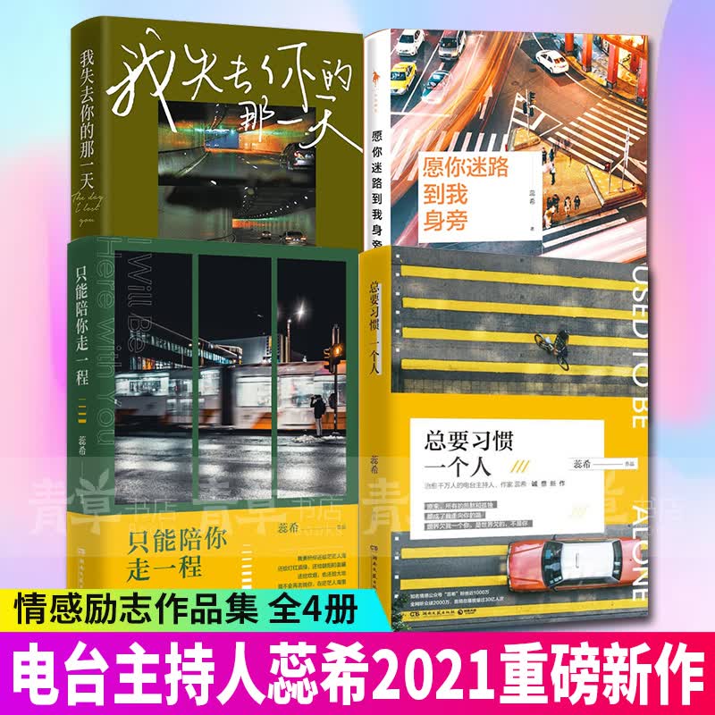 蕊希全4册 我失去你的那一天+愿你迷路到我身旁+总要习惯一个人+只能陪你走一程 蕊希的书四本套