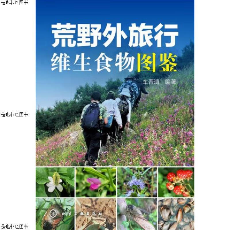 荒野外旅行维生食物图鉴