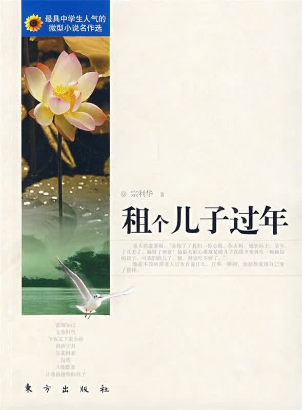 租个儿子过年