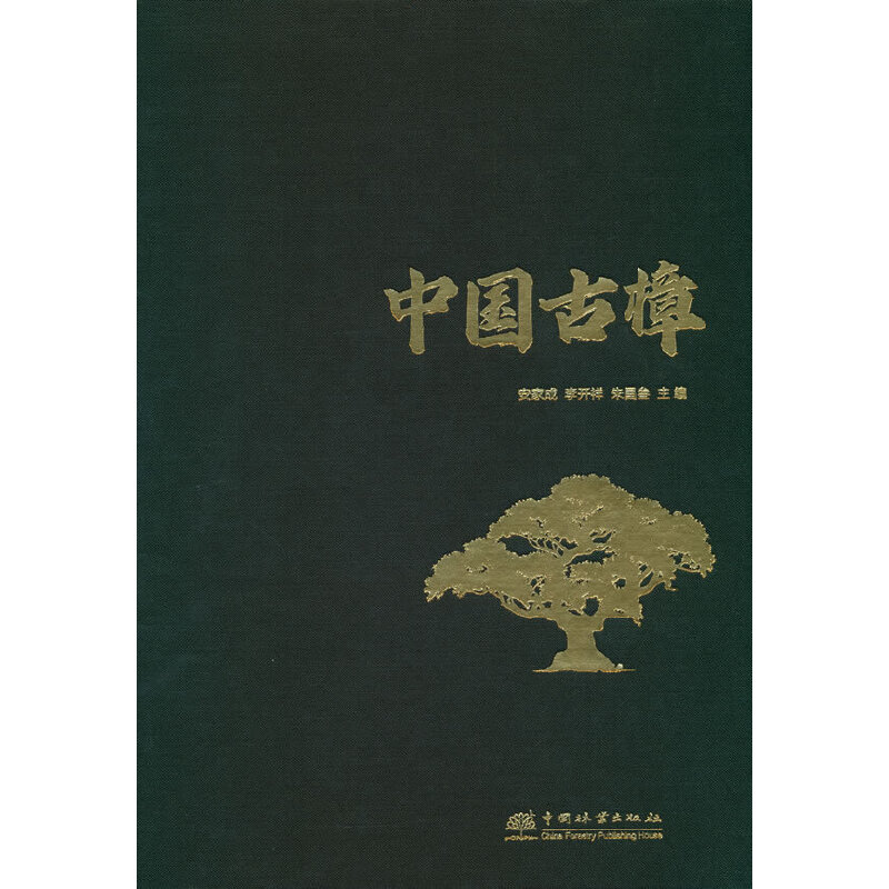 【现货】中国古樟(精)