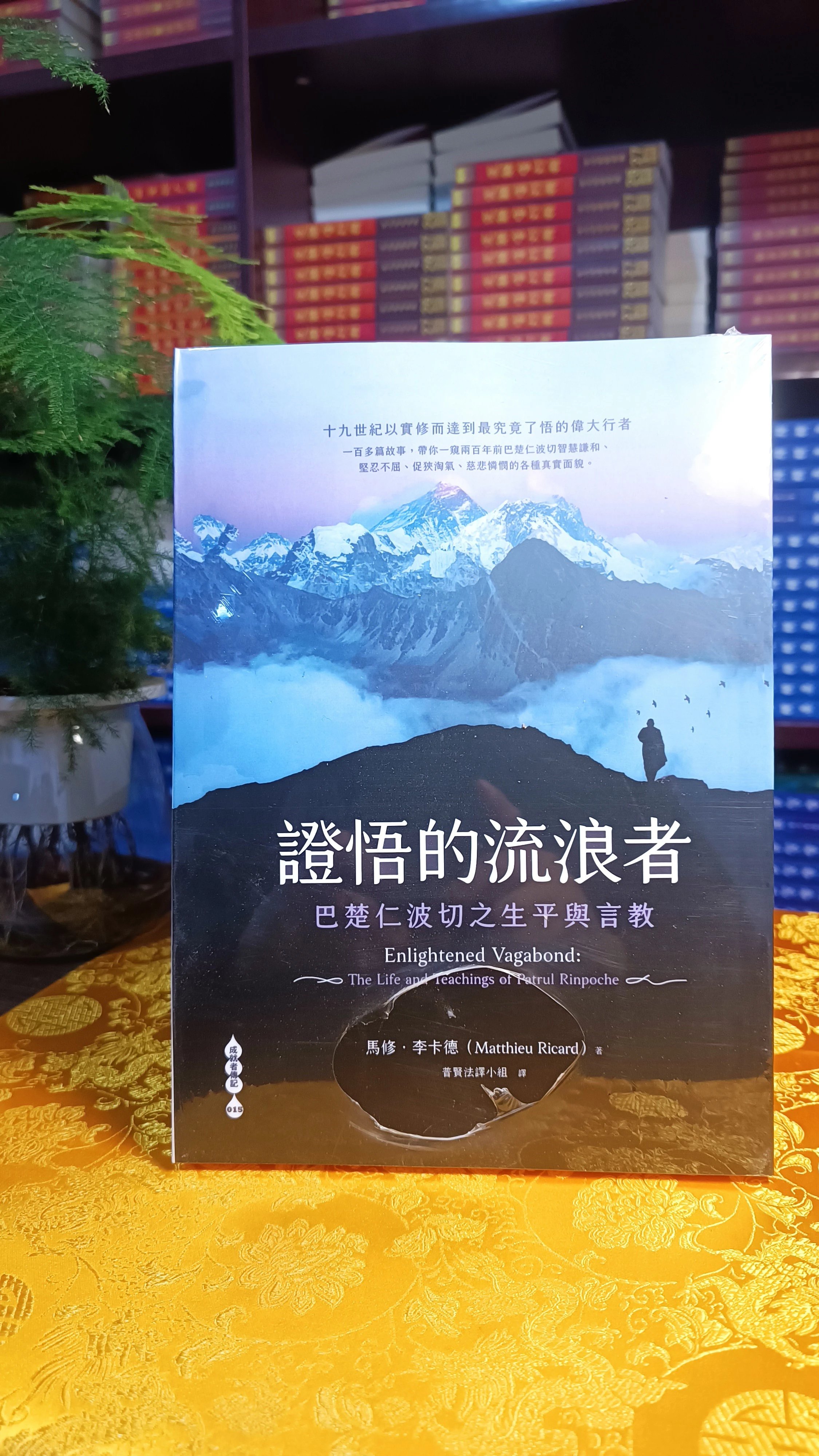 港台本 证悟的流浪者 巴楚仁波切之生平言教
