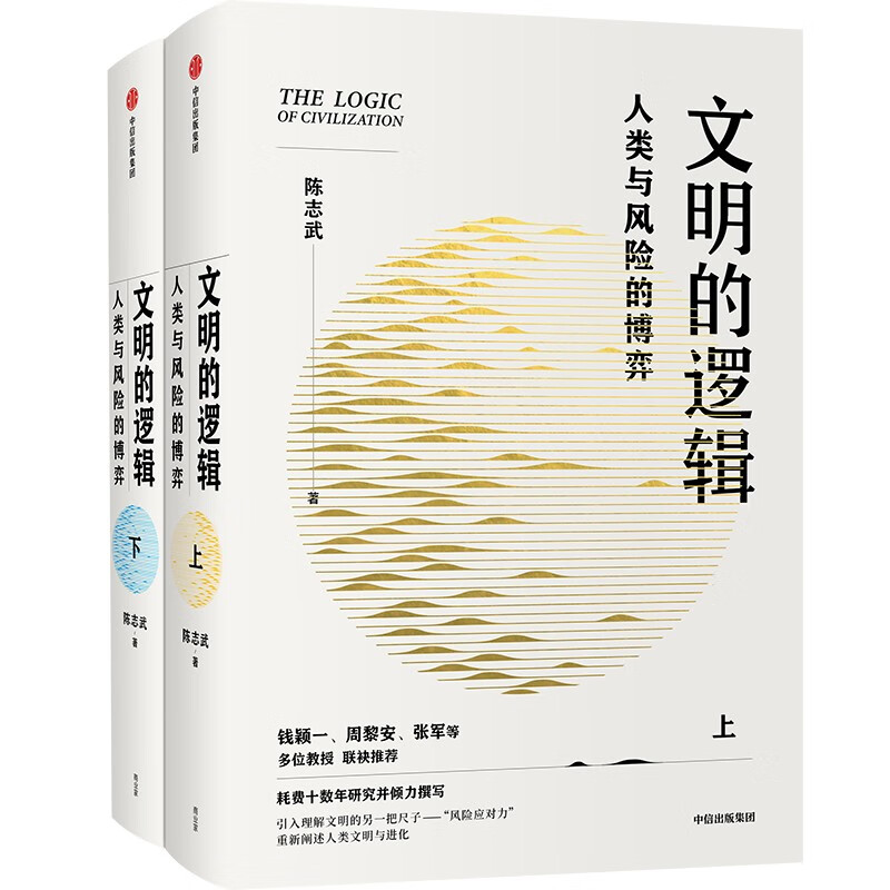 文明的逻辑：人类与风险的博弈 陈志武 著 钱颖一 周黎安 张军 联袂** 经济 历史发展 风险博弈 中信出版集团