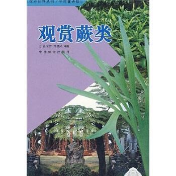 观赏蕨类