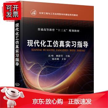 现代化工仿真实习指导(高峰)
