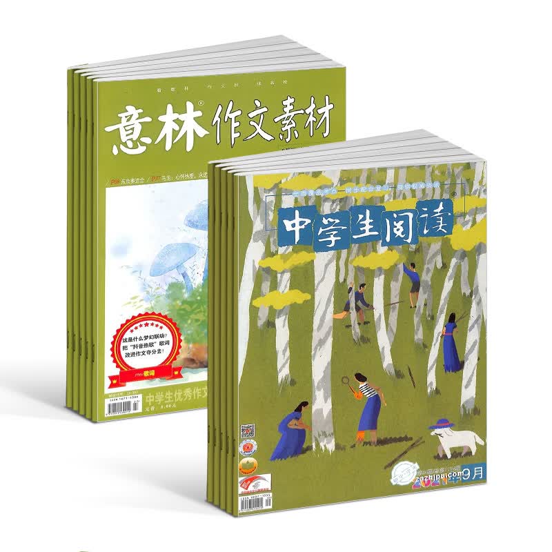 意林作文素材+中学生阅读初中版中考杂志 2023年十月起订 组合共36期 杂志铺