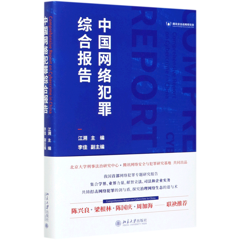 中国网络犯罪综合报告(精)