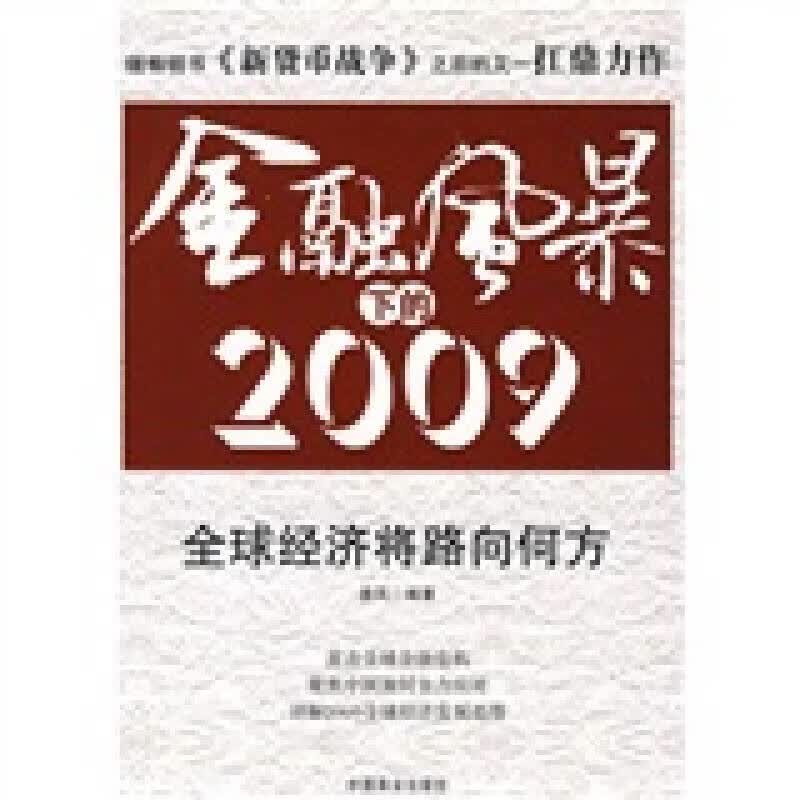 【书】金融风暴下的2009