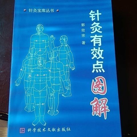 中医临床针灸疗法 针灸有效点图解 郭效宗著 1991.08