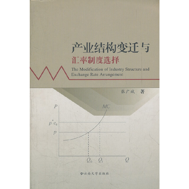 产业结构变迁与汇率制度选择