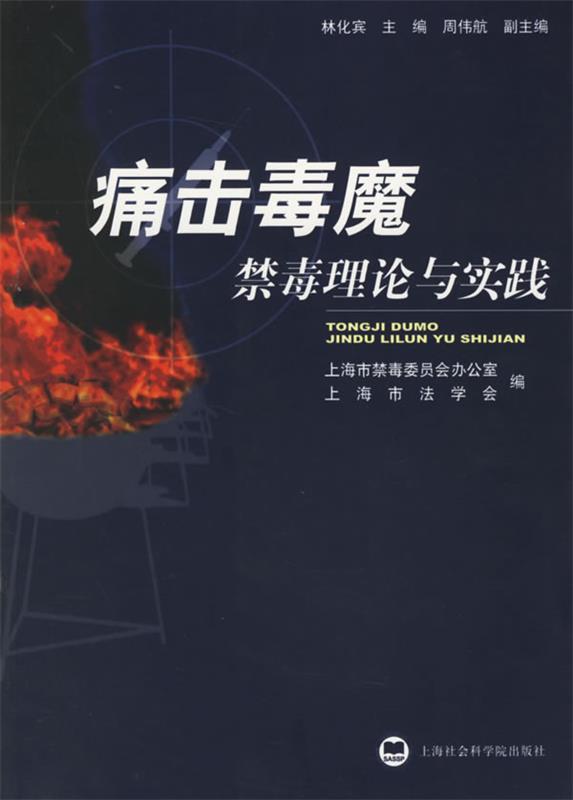 痛击毒魔:禁毒理论与实践