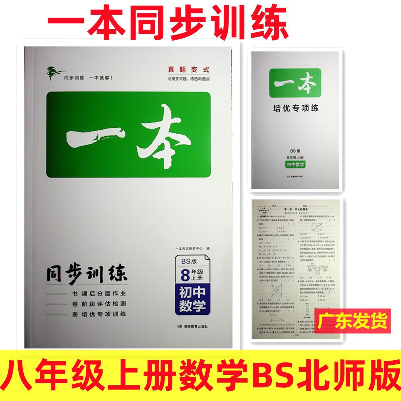 包邮2023秋一本同步训练八年级上册数学BS北师大版 初中生中考数学辅导练习题 初二8年级数学上册