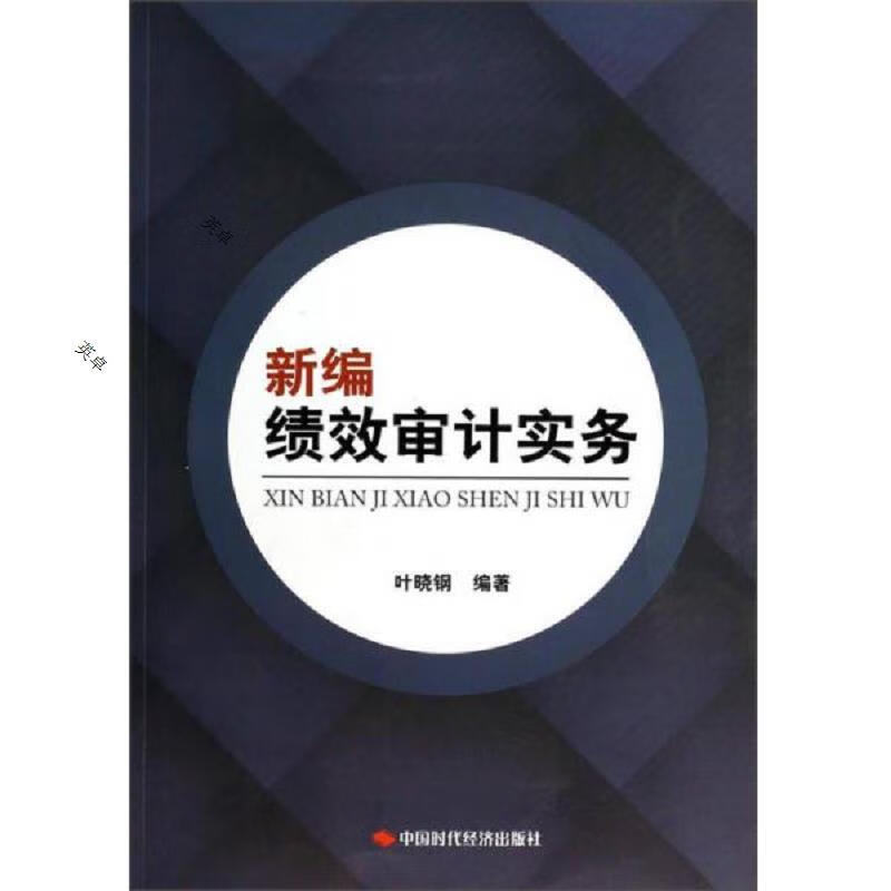 新编绩效审计实务