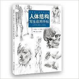 美术家-设计师:人体结构写生应用手贴/三泽宽志/广西美术出版