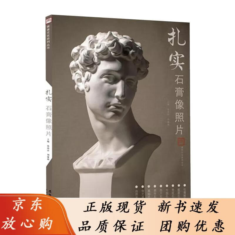 扎实石膏像照片2019青美文化刘建林经典五官头像写生考级题书  9787539886633