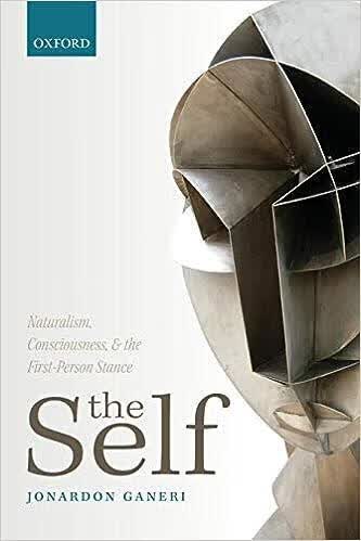 自我: 自然主义、意识与第一人称 The Self