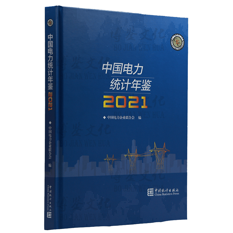 能源与电力系列 2021中国电力统计年鉴（工业报告资料）