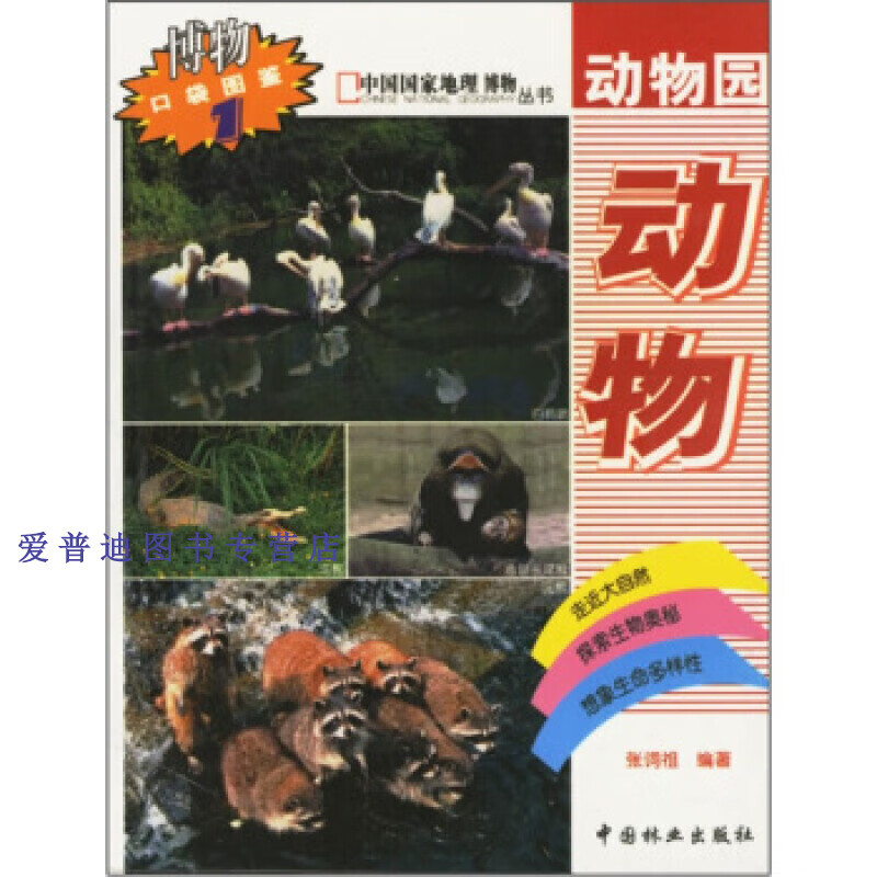 动物园动物 张词祖【，放心购买】