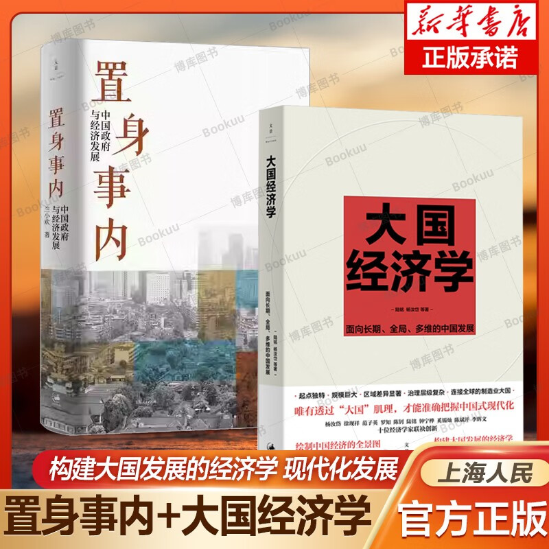 大国经济学 : 面向长期、全局、多维的中国发展 +置身事内（共2册）