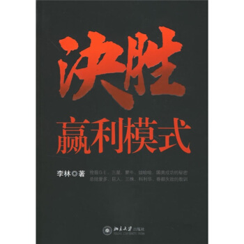 决胜赢利模式 李林 著