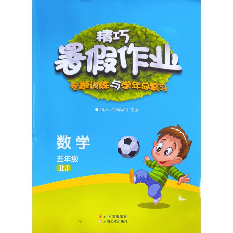 精巧 暑假作业 五年级 数学人教版专题顺联与重点突破 云南出版社