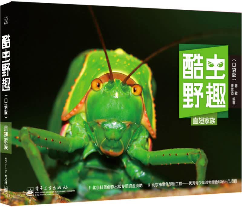 酷虫野趣直翅家族（口袋版） 唐志远蒋澈【，放心购买】