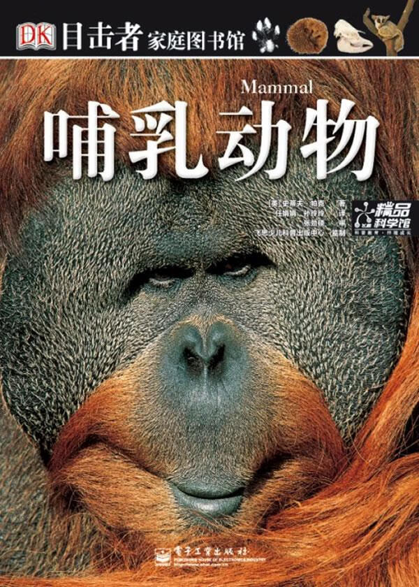 哺乳动物