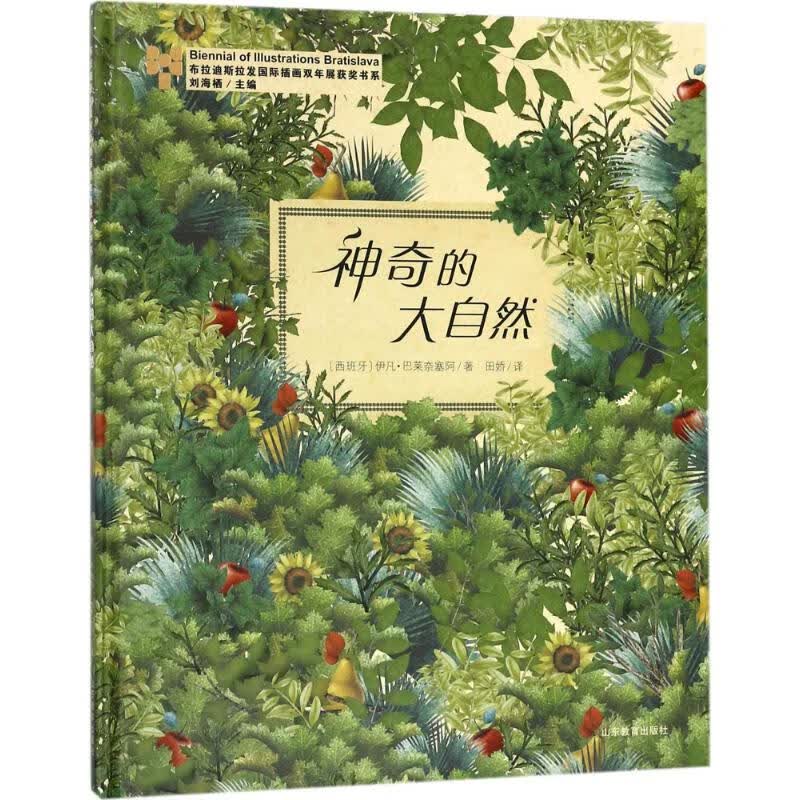 的大自然