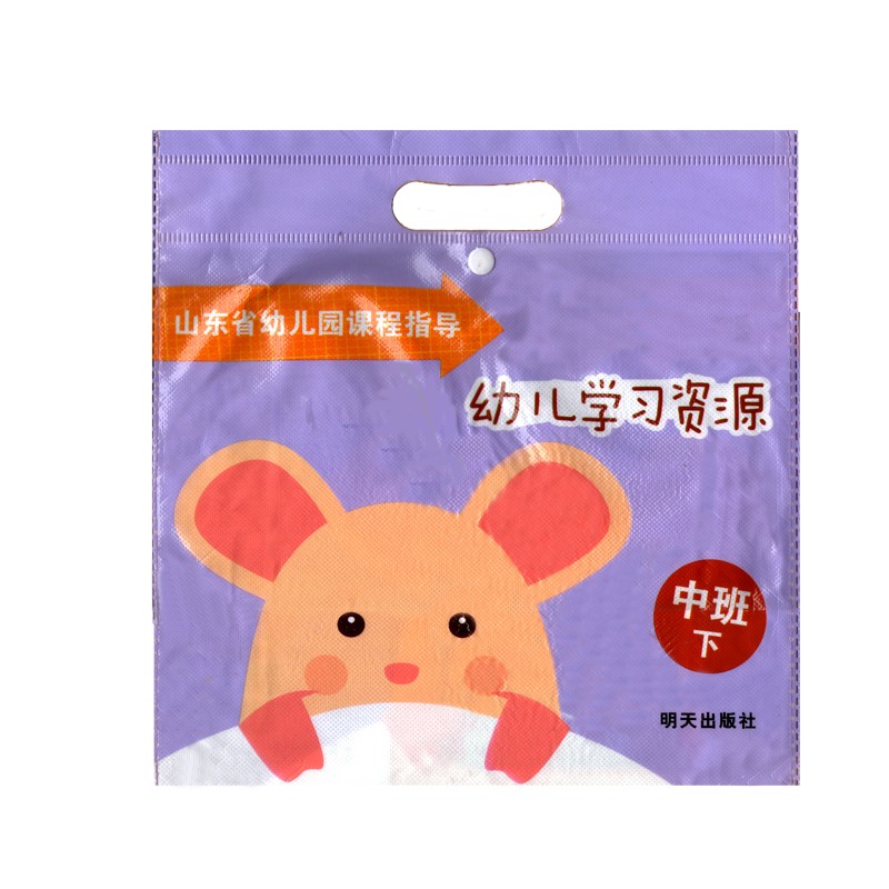 山东省幼儿园教材课程指导幼儿学习资源包中班下 明天版省编中班下册 9787570800186 明天出版社