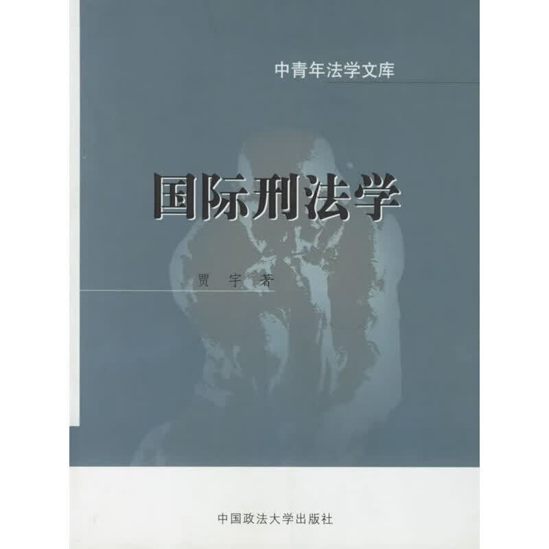 国际刑法学/中青年法学文库