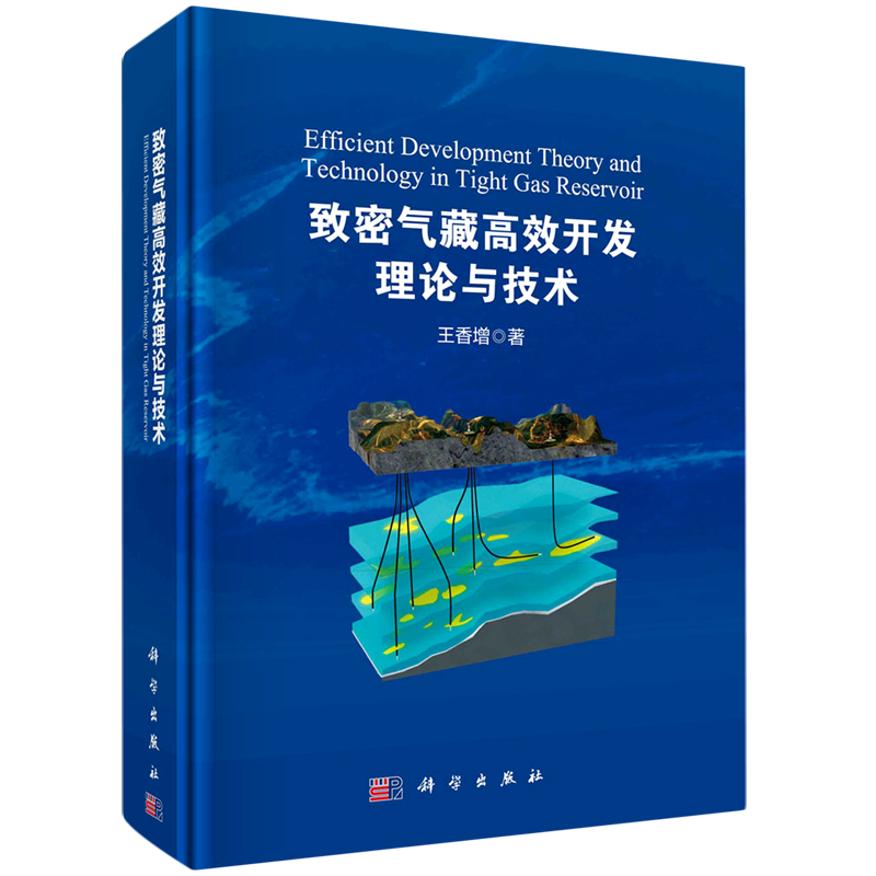 致密气藏高效开发理论与技术(精)