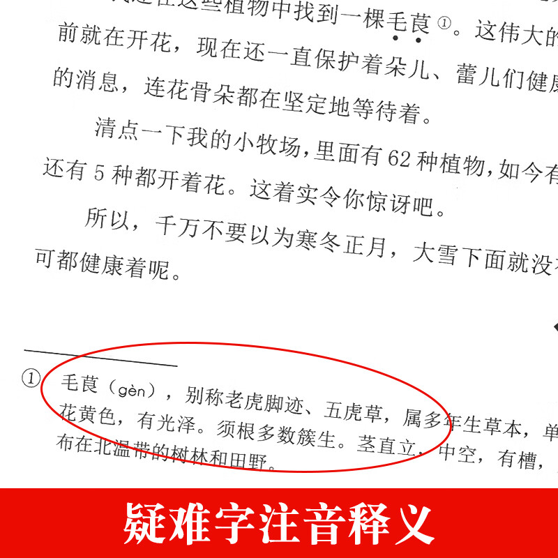 【竞赛考题无删减版】森林报春夏秋冬比安基著全套四册合本人教版小学生三四五六年级上册阅读课外书阅读书籍