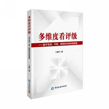 多维度看评级 丁继平 中国金融出版社