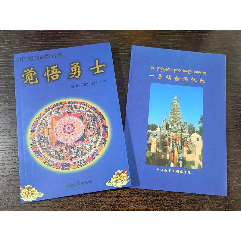 香巴拉的智慧传承 觉悟勇士230页+一子续念诵仪轨98页两册合售 页两册合售