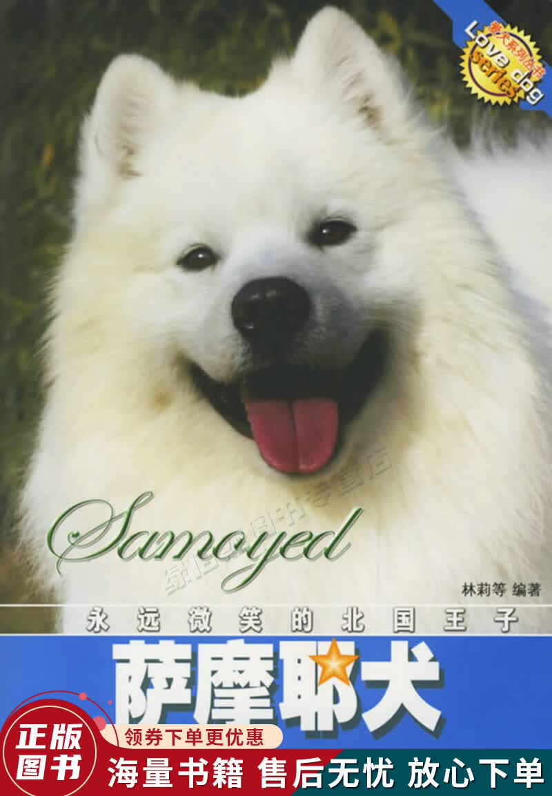 萨摩耶犬