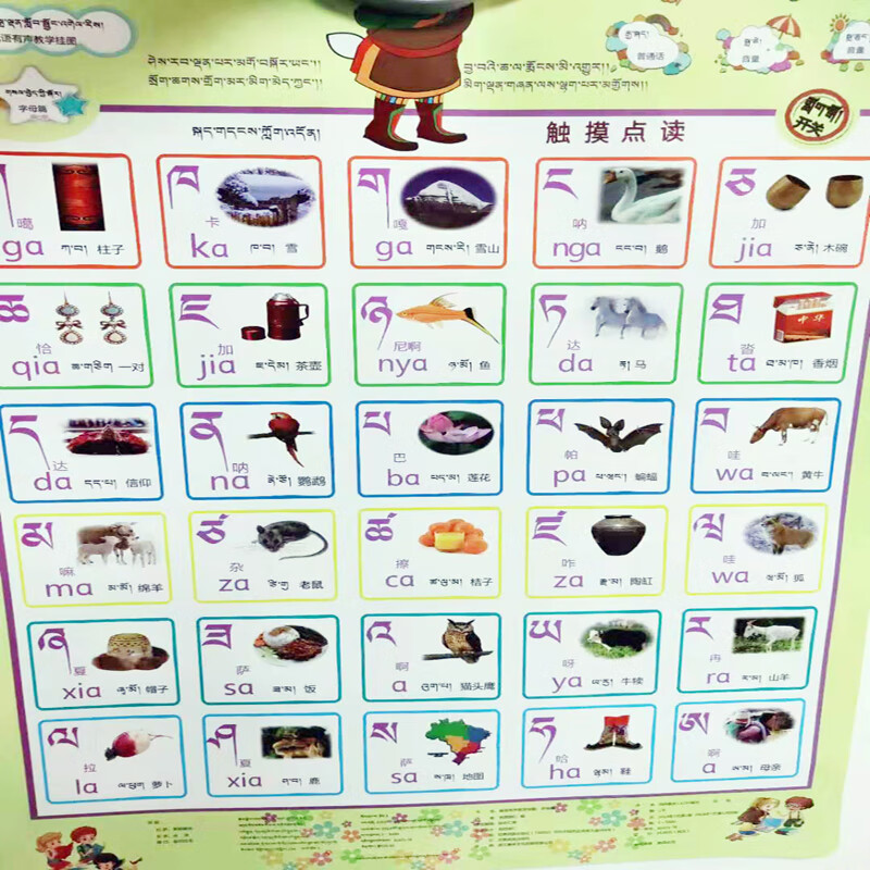 藏语有声教学挂图：字母篇-藏田藏文图书