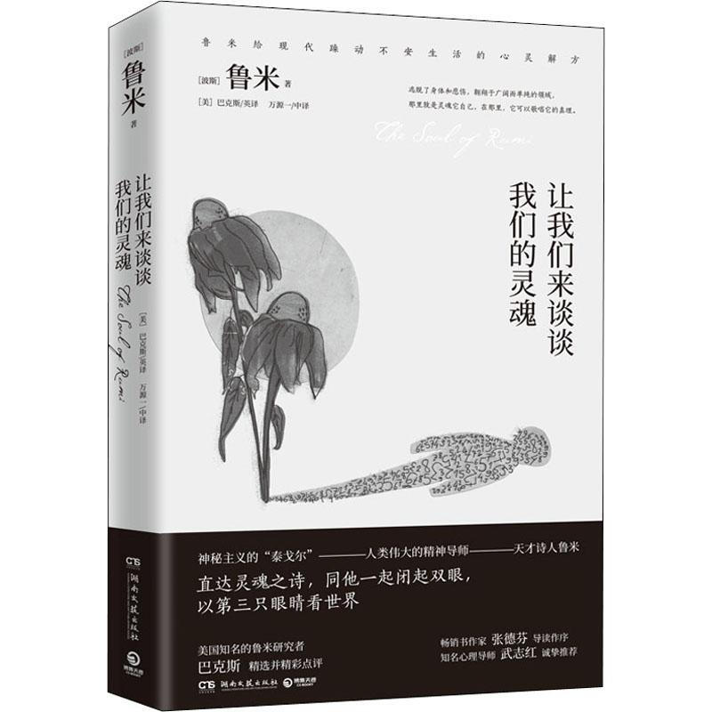 让我们来谈谈我们的灵魂 鲁米精选诗集 张德芬武志红 外国现当代文学散文诗歌散文诗集书籍