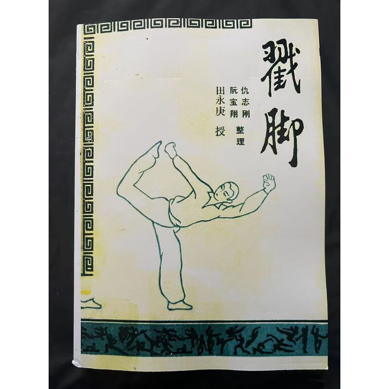 戳脚 南拳北腿戳脚门武术气功腿法武功套路强身健体 经典功法武学