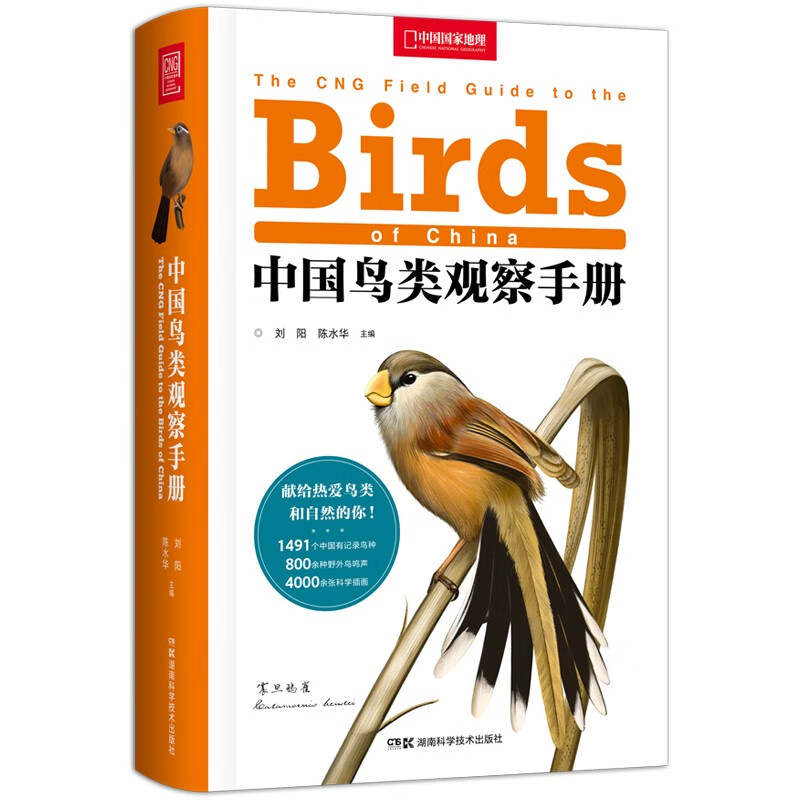 中国鸟类观察手册 中国鸟类行为观察动物科普图鉴 珍惜野鸟形态图鉴野生动物百科中国国家地理新书上市畅销书籍