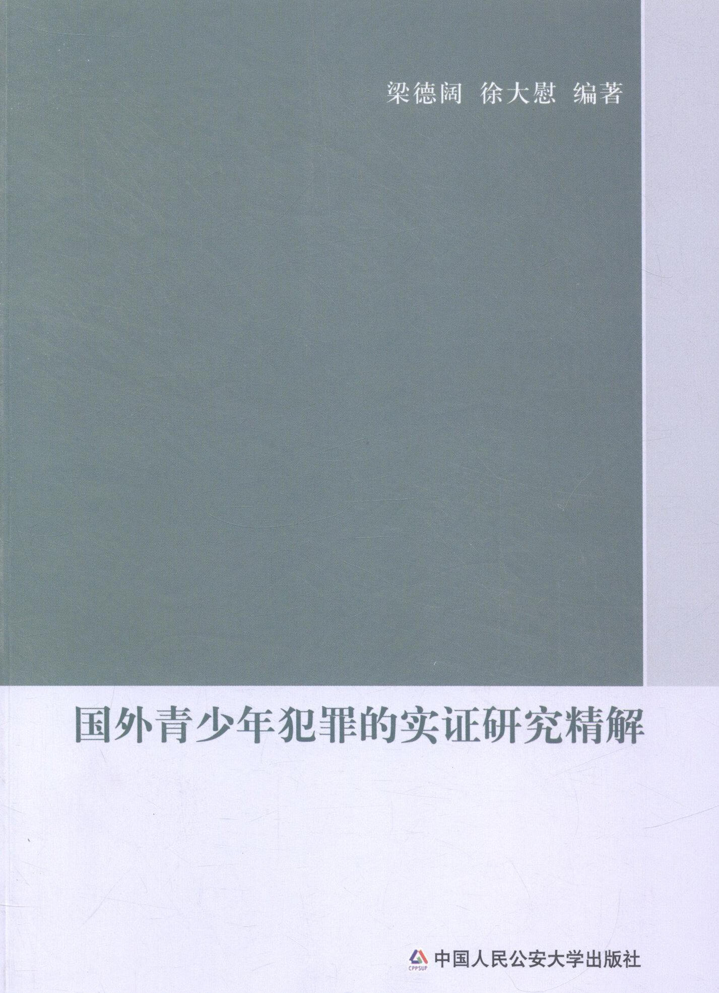 全新现货 国外青少年犯罪的实证研究精解 9787565318290 梁德阔 中国人民大学出版社 法