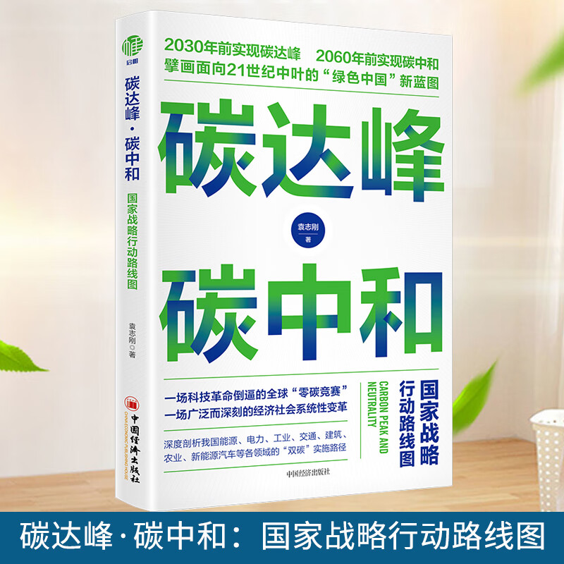 碳达峰碳中和：国家战略行动路线图 阐述我国绿色低碳 节能减排的发展理念战略规划与政策实践 中国经济出版社