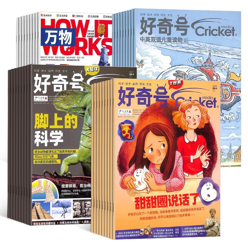 【【杂志预计10月发货】万物+好奇号杂志组合订阅 2023年10月起订 1年组合共24期 杂志铺（先发“杂志订阅清单”）