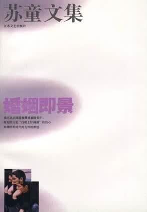 婚姻即景 苏童