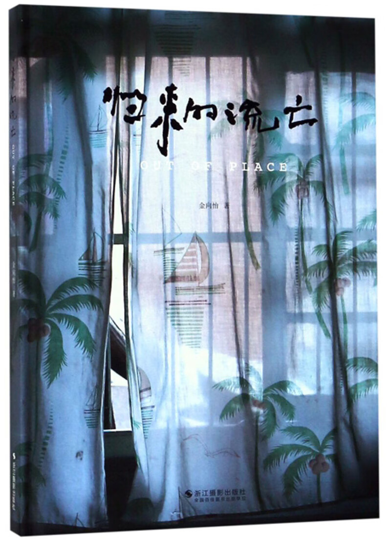 归来的流亡【好书】
